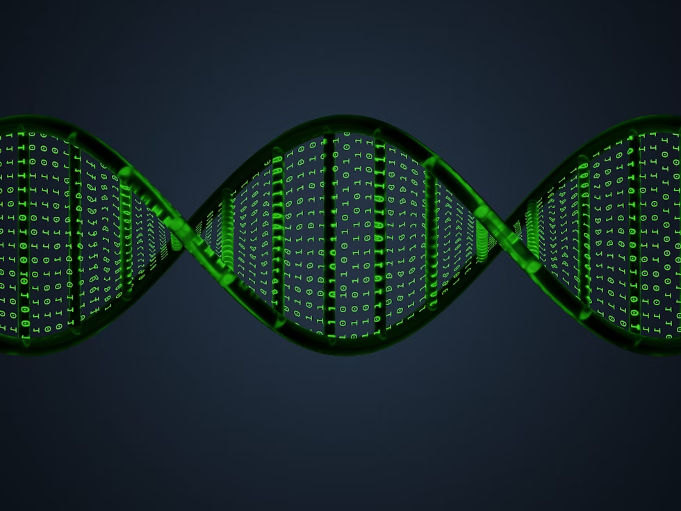 Polygenic risk scores: calculating the likelihood of complex diseases ...